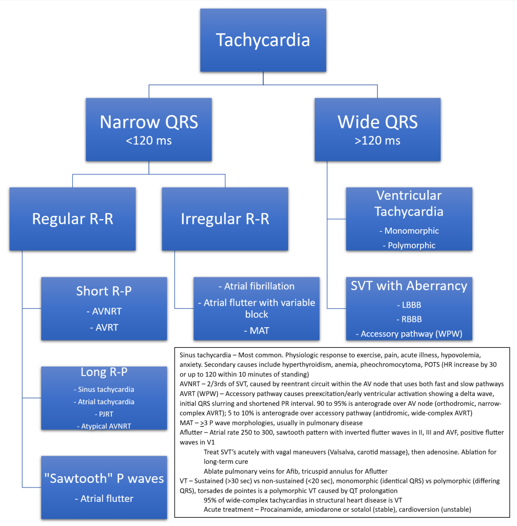 Tachycardia – Super Easy Medicine